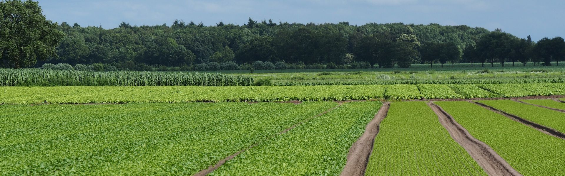 Kavelruil: de bakens zijn verzet - Overwater Rentmeesterskantoor