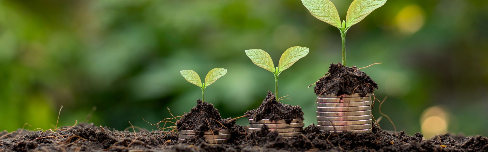 Financieren van landbouwgrond - Overwater Rentmeesterskantoor